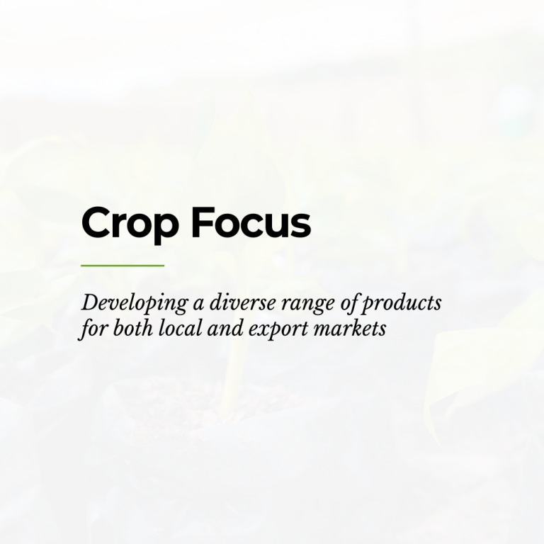 Blue Agri – High End Agriculture Solutions Provider in Africa