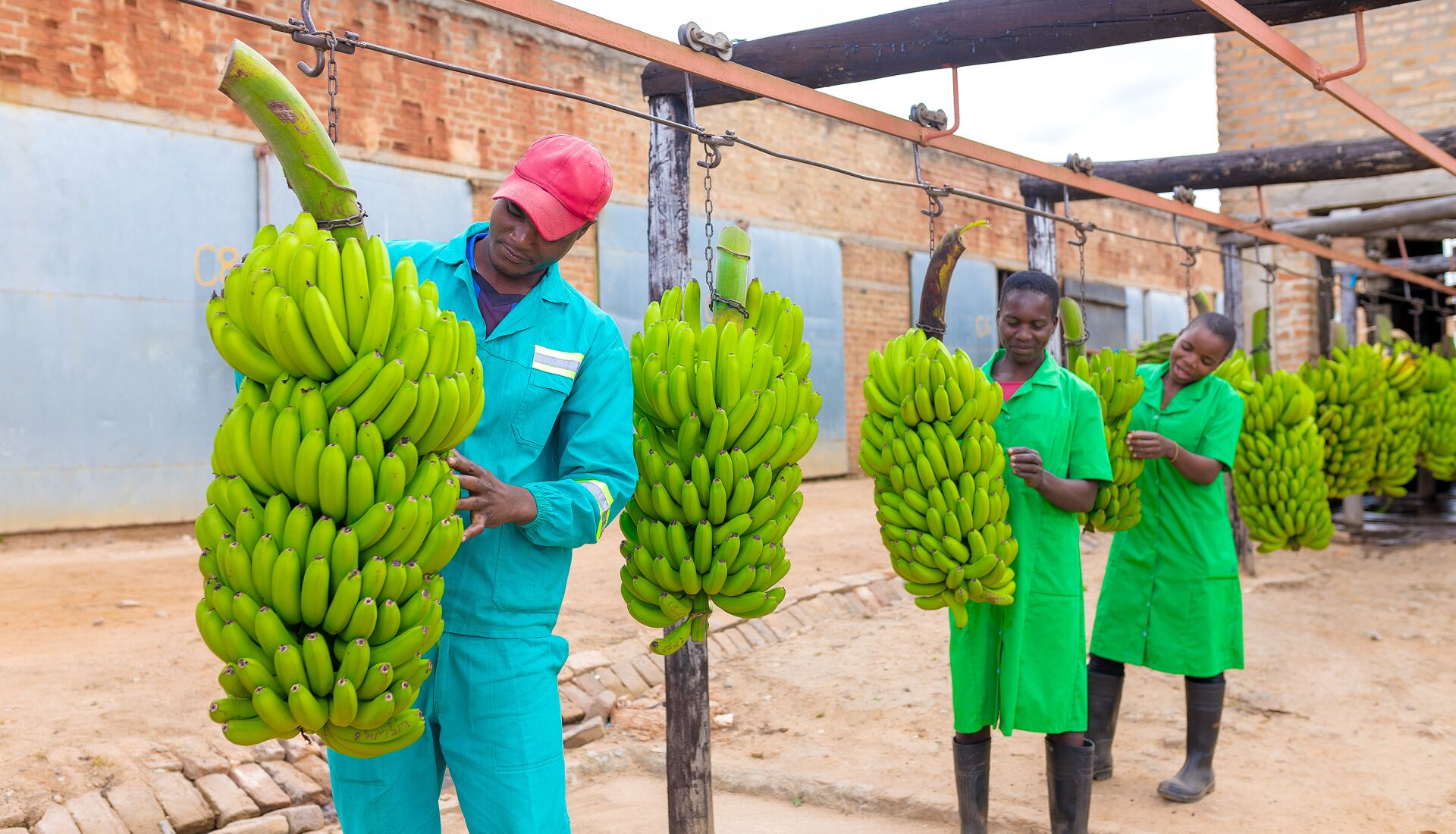 Blue Agri – High End Agriculture Solutions Provider in Africa